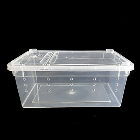 White jade snail breeding box crab container horned frog turtle tank ...