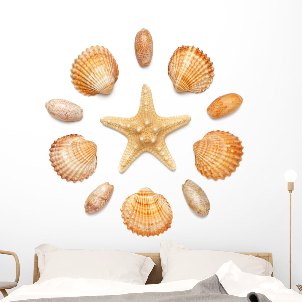 Circle Sea Shells Wall Decal Sticker Set Wallmonkeys Peel and Stick ...