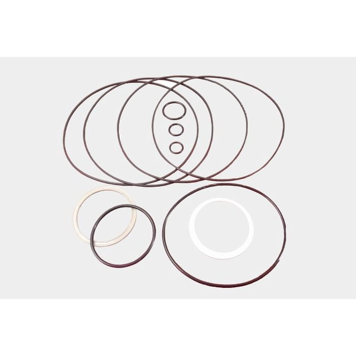 CS034301 Case 70XT Skid Steer, Drive Motor Seal Kit - Walmart.com