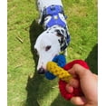 Pawpourri Loop Rope Toy for Dogs and Cats - Walmart.com