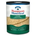 Thompson's WaterSeal Waterproofer Plus Wood Protector, Clear, 5 Gallon ...