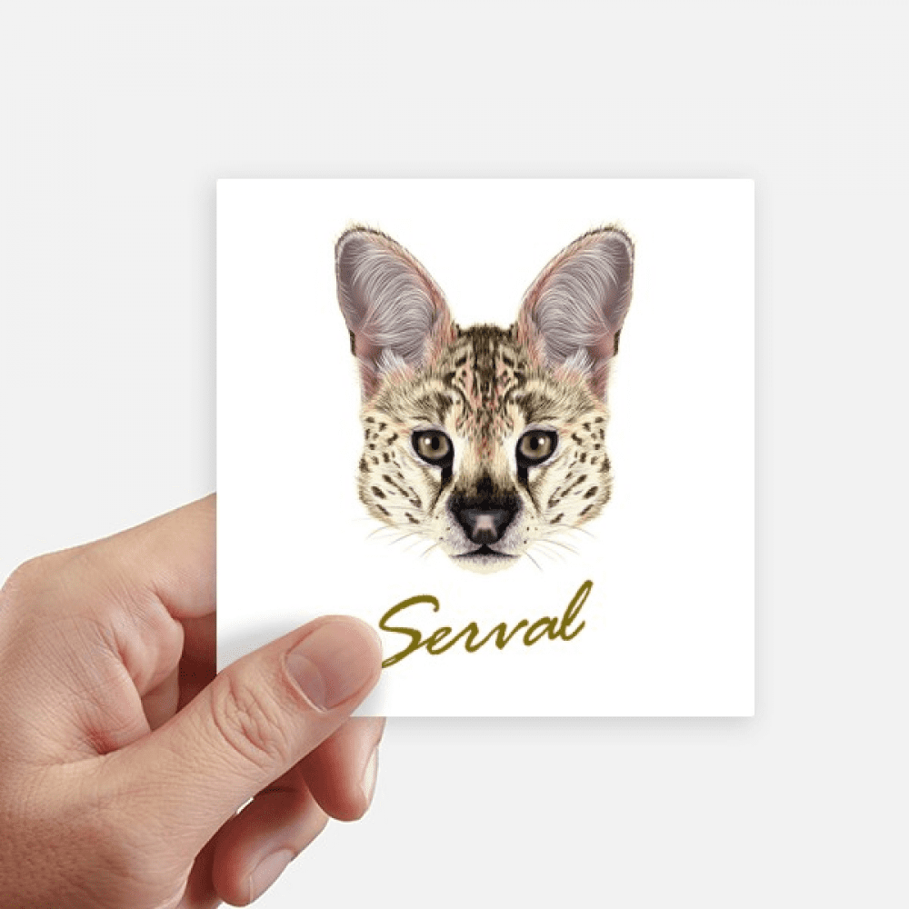 Long-eard Spotted Serval Animal Sticker Square Waterproof Stickers ...