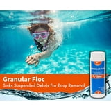 Rx Clear Granular Floc Clarifier for Swimming Pools and Spas, 4 lbs - Walmart.com