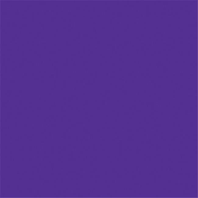 Z-PROGEL-SH-P 21 x 24 in. Pro Gel Sheet, Purple - Walmart.com