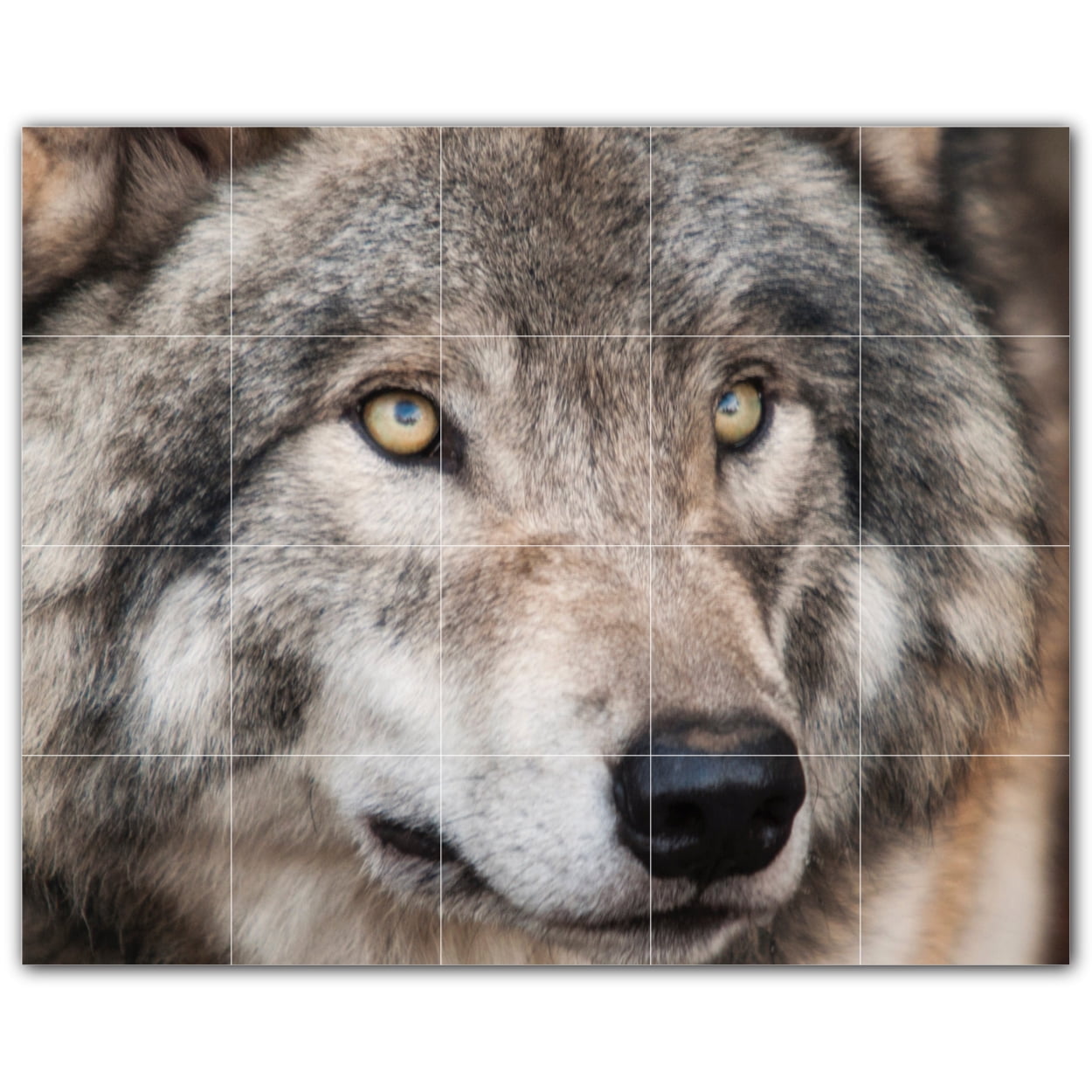 Picture-Tiles.com: Wolf Ceramic Tile Wall Mural WAL501241-54M. 30"W x ...