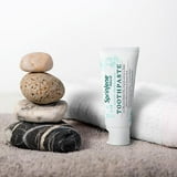 SprinJene Natural® Adult Cavity Protection Toothpaste 2 Pack Bundle ...