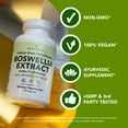 Amandean Boswellia Serrata Extract. 500mg 120 Veggie Capsules. 65% ...