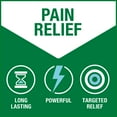 Biofreeze Pain Relief Patches, Menthol Medication for Back, Knee ...