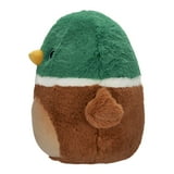 Free Shipping! Squishmallows Plush 12-inch Mallard Duck Fuzzamallows ...