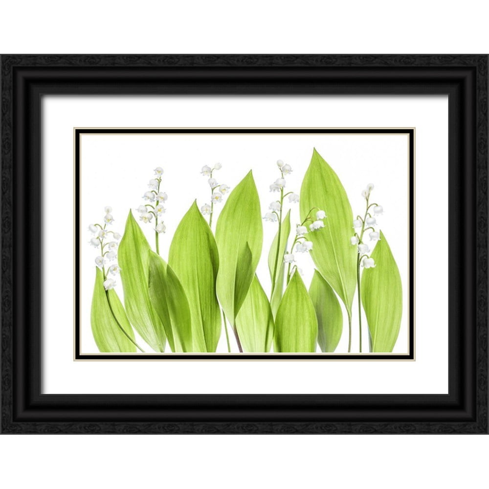 Disher, Mandy 14x11 Black Ornate Wood Framed with Double Matting Museum ...