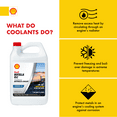 Shell Rotella Extended Life ELC Anti-Freeze + Coolant, Pre-Diluted 50/ ...