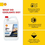 Shell Rotella Extended Life ELC Anti-Freeze + Coolant, Pre-Diluted 50/ ...