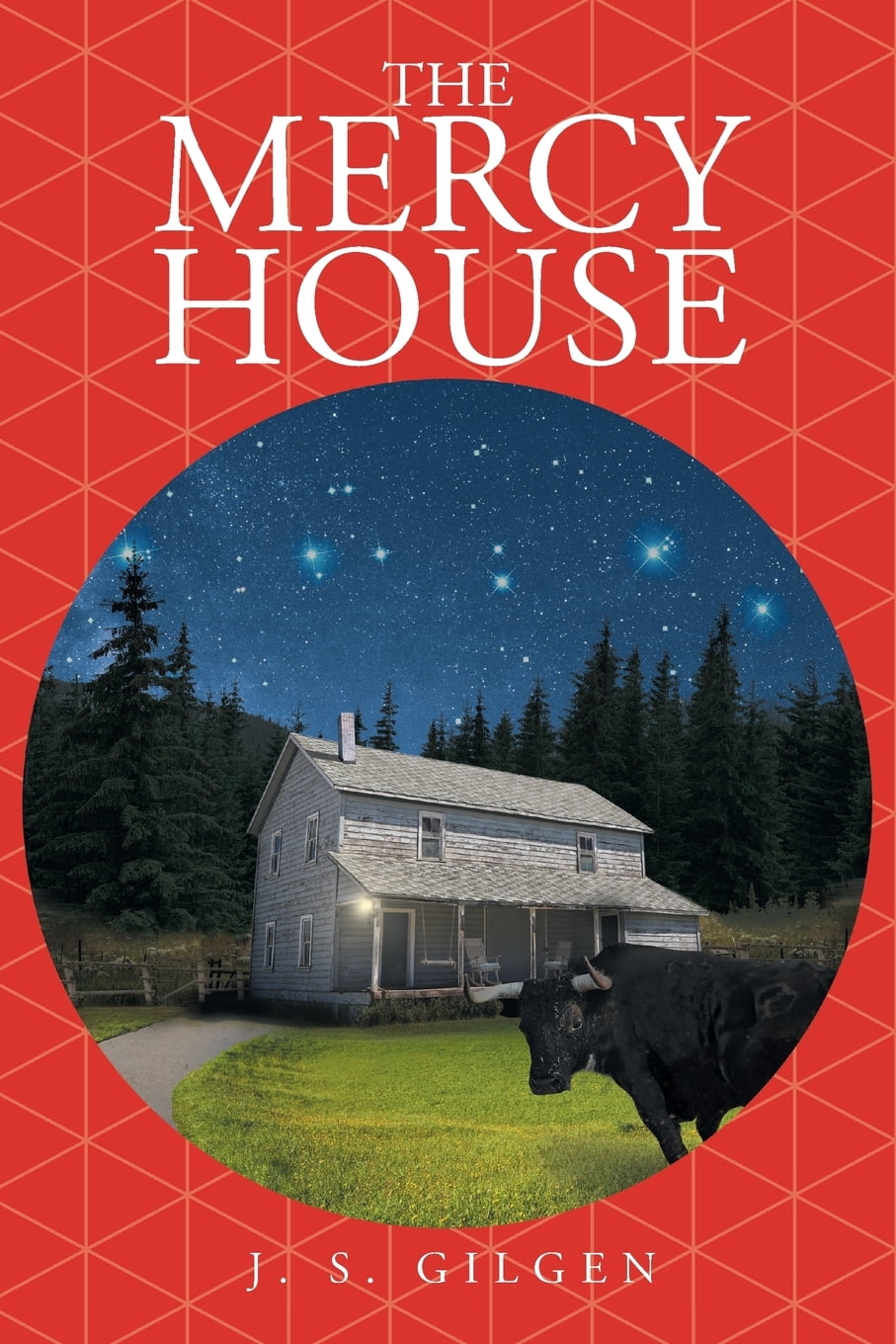 The Mercy House (Paperback) - Walmart.com - Walmart.com
