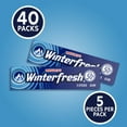 WRIGLEY'S WINTERFRESH Mint Chewing Gum, Value Bulk Pack, 5 Sticks Per ...