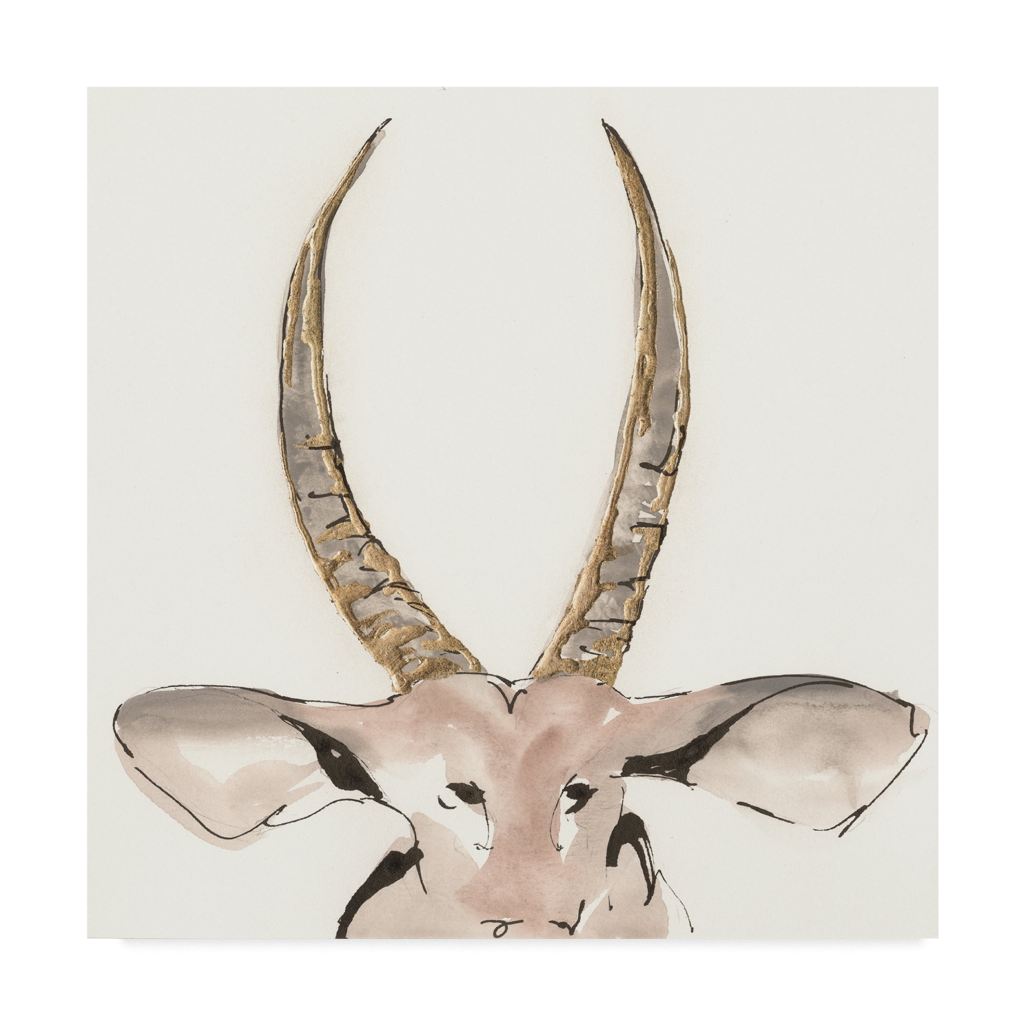 Trademark Fine Art 'Gilded Antelope' Canvas Art by Chris Paschke ...
