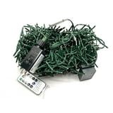 Raz Imports 73.8' Snake Garland Green Wire, 1000 White Lights with ...