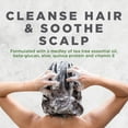 Avalon Organics Scalp Treatment Tea Tree Shampoo With Aloe 11 Fl Oz