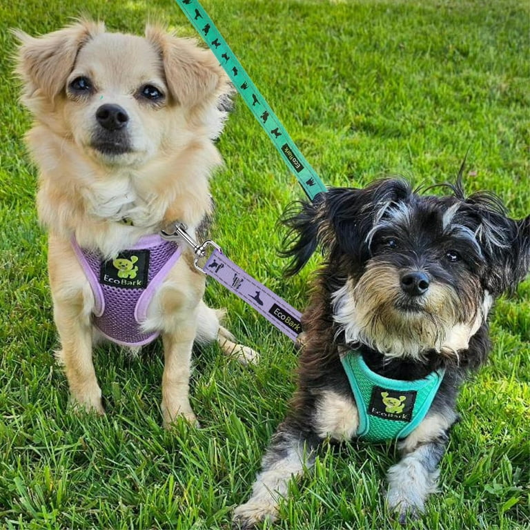 Dog collars and harnesses for small dogs store