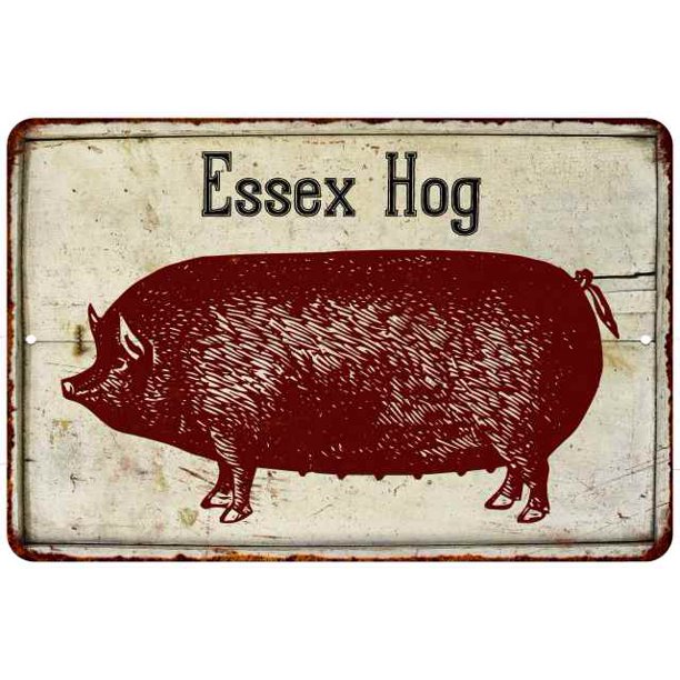 Essex Hog Vintage Look Chic Distressed 8x12 Metal Sign 108120020099 ...