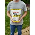 Tomcat Mole And Gopher Repellent Granules Safe For Lawn And Garden Formulated With Castor Oil 4