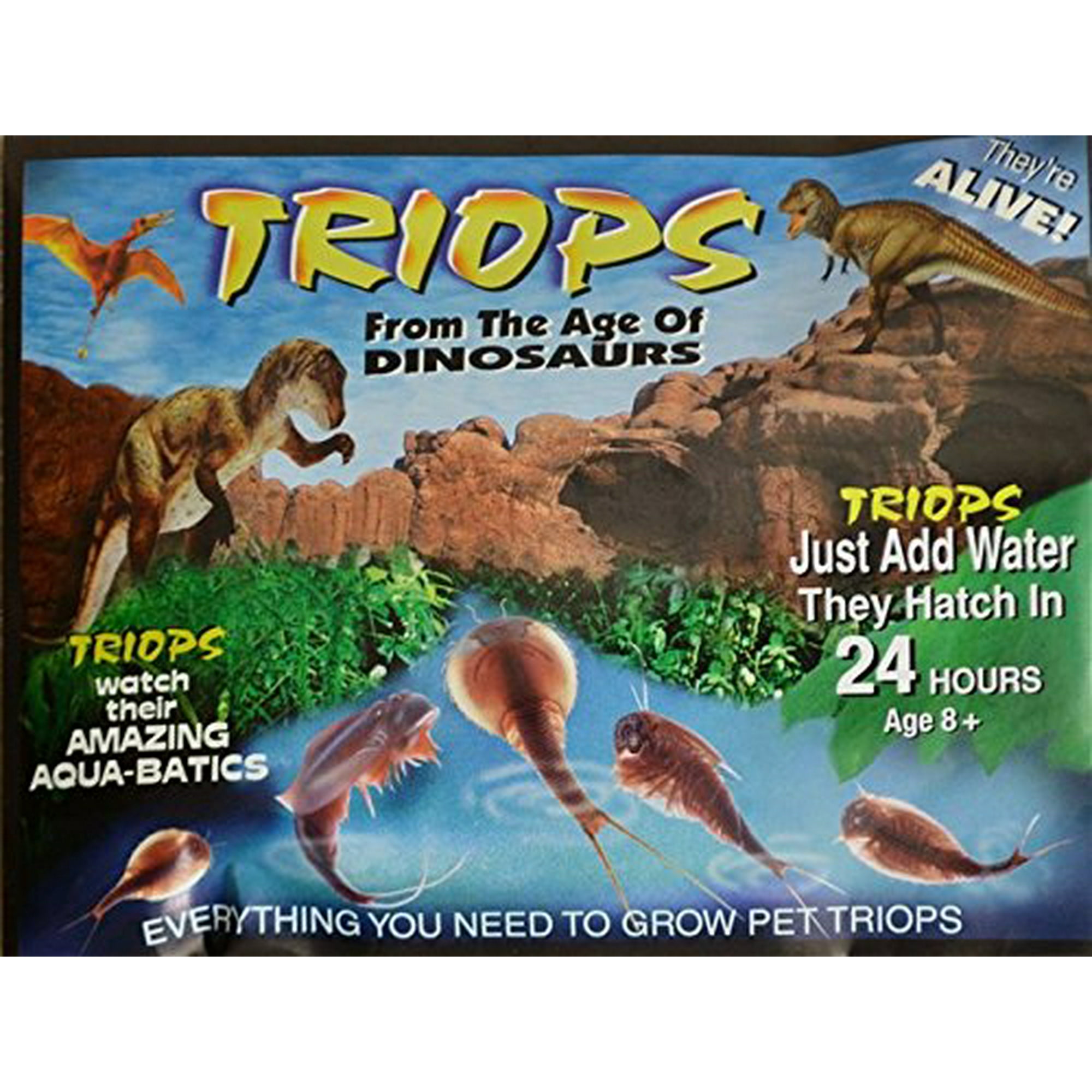 Triops