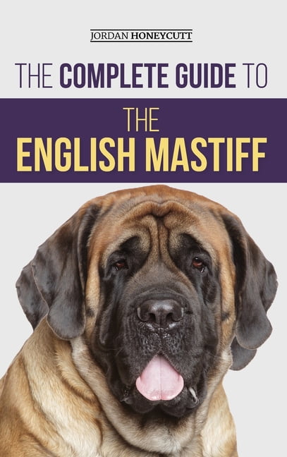 How To Properly Care For A English Mastiff