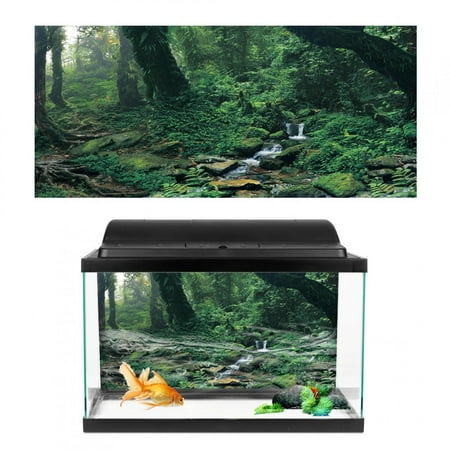 LHCER Green Woods Fish Tank Background Poster, Fish Tank Poster, For ...