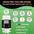 Halal & Grass Fed Collagen Peptides Powder 1 lb. 16oz Unflavored ...