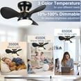 Ceiling Fan Light FIMEI 3 Blades Ceiling Fan with Light, Black ...