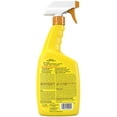 1PK Goof Off RustAid 22 Oz. Rust Stain Remover - Walmart.com