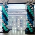 iTi Direct Adult Decoration Balloons with matching color ribbon, Latex ...