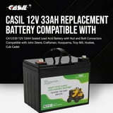 Casil Lawn & Garden AGM Battery, 12V 300CCA BCI Group U1 Battery for ...