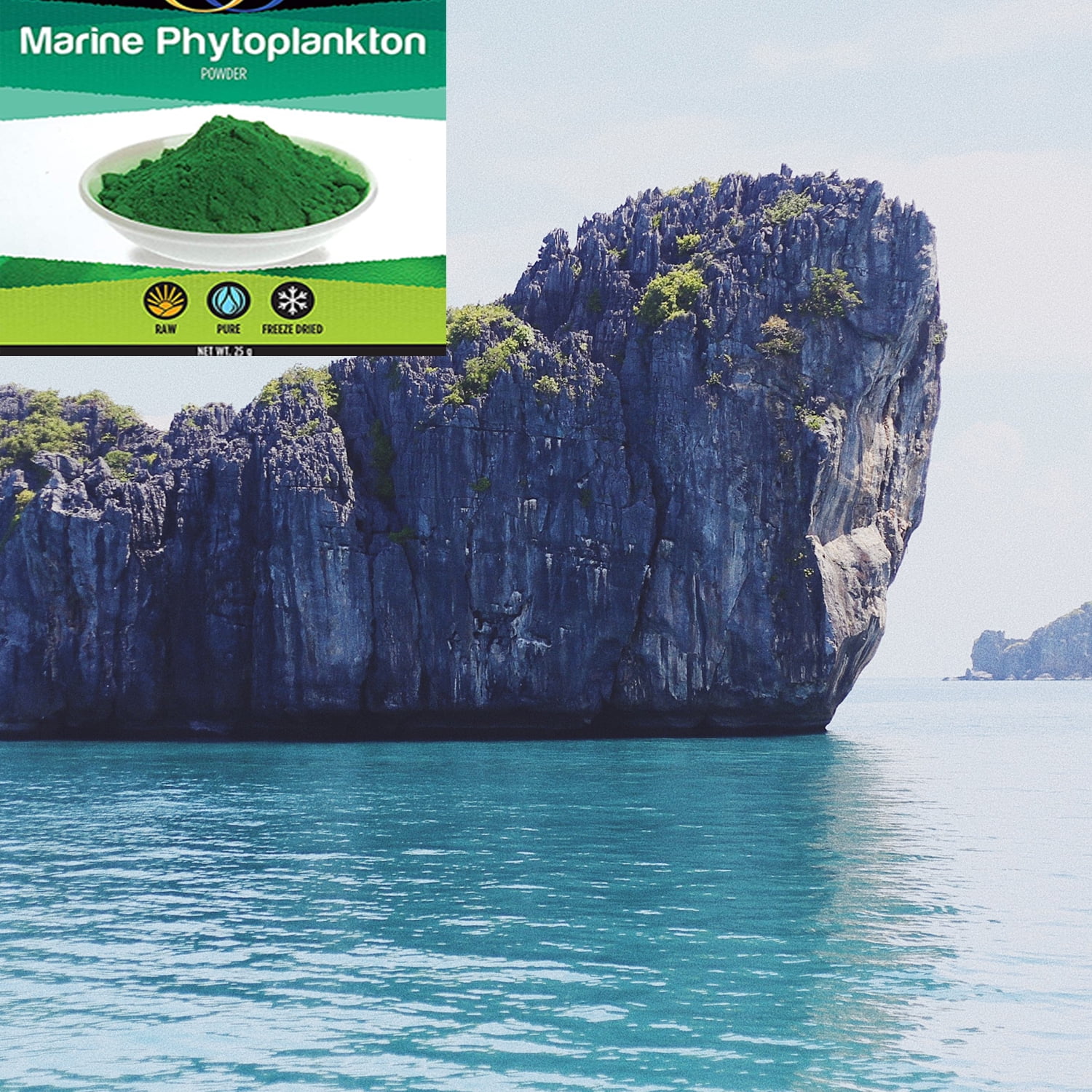 Marine Phytoplankton Powder