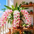 Giant Cymbidium For Planting Ideal for Gardening Deer Resistant ...