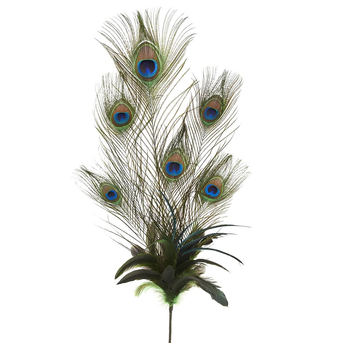 12 Pack: Peacock Feather Pick by Ashland® - Walmart.com