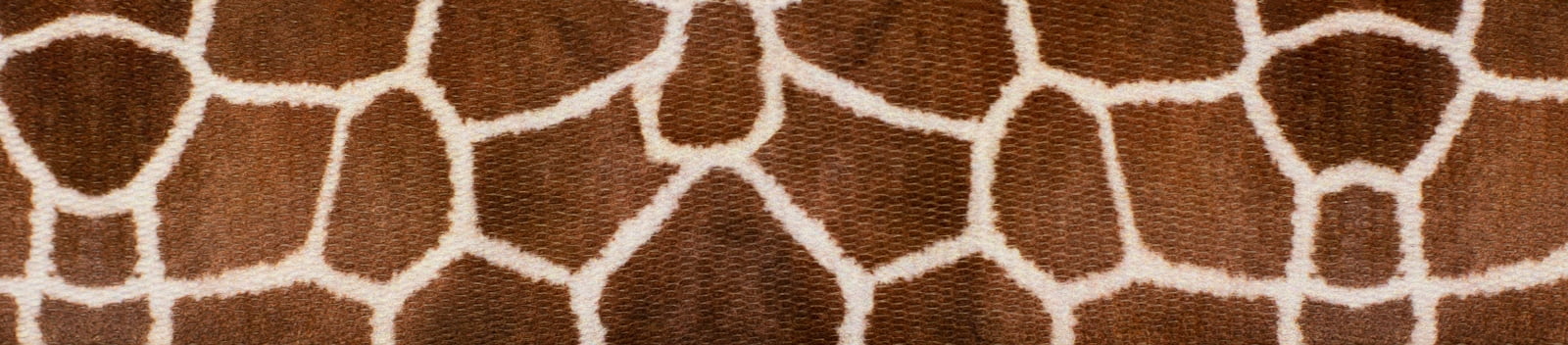 Country Brook Design® 5/8 inch Giraffe Polyester Webbing, 5 Yards ...