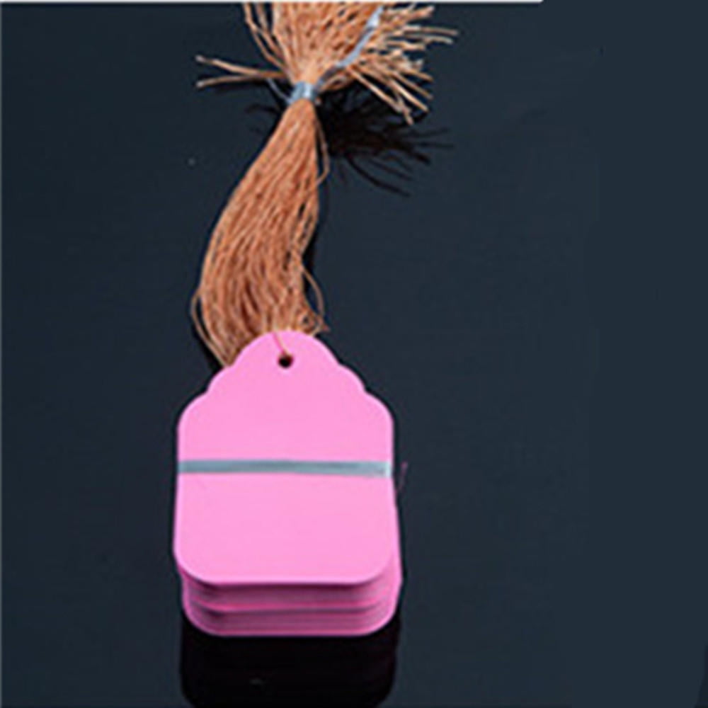 SHUNXIN 100Pcs Plant Labels With Rope PVC Plants Hanging Tags Flower ...