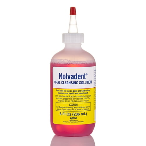 Nolvadent Oral Cleansing Solution for Dogs and Cats - 8 fl. oz (236 ml ...