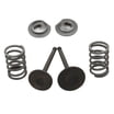 Carburetor for Champion Generator 46558 46561 46594 46596 46539 46540 ...