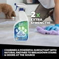 Pet Stain and Odor Eliminator 32 oz - Walmart.com