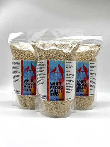Morning Bird White Proso Millet Seed, Healthy Bird Food, Nutritious ...