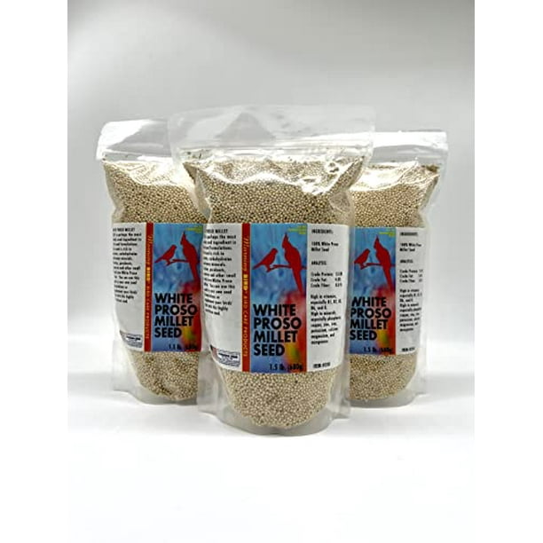 Morning Bird White Proso Millet Seed, Healthy Bird Food, Nutritious ...