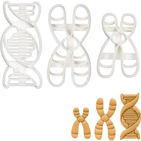 Set of 3 DNA themed cookie cutters (Designs: DNA, Chromosome and ...