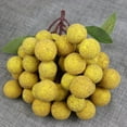 1pcs Fake Fruit Longan Artificial Lychee Blueberry Cherries Realistic ...