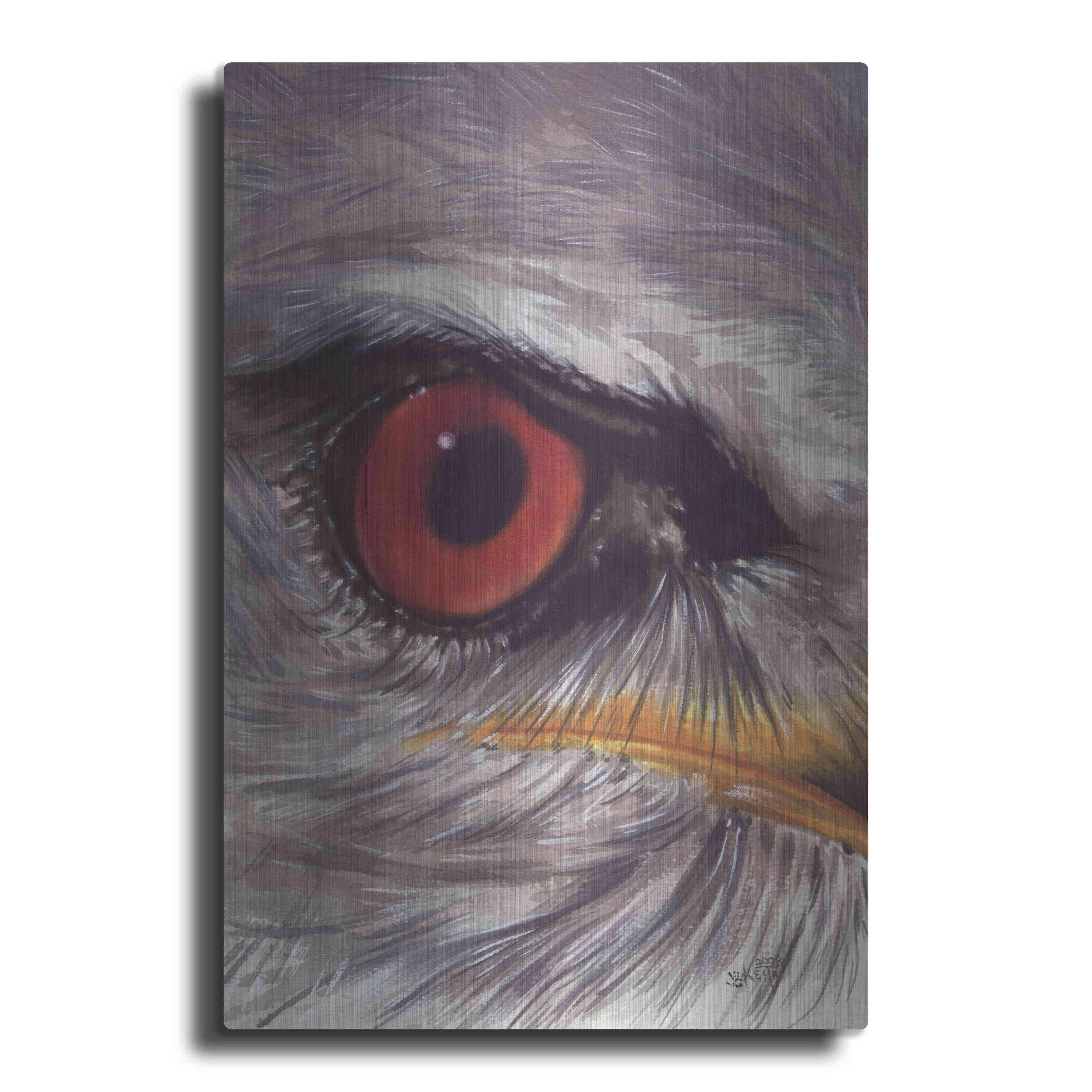 Luxe Metal Art 'Eye Catching Kite' by Barbara Keith, Metal Wall Art, 24 ...