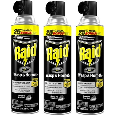 Raid House & Garden Aerosol, 11 OZ, Pack of 3 - Bug Killer, Pesticide ...