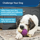 PetSafe Busy Buddy Bouncy Bone, 3-in-1 Dog Toy, Includes Treat Rings ...