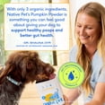 Native Pet, Digestive Supplement, 16oz, Organic Pumpkin Powder ...