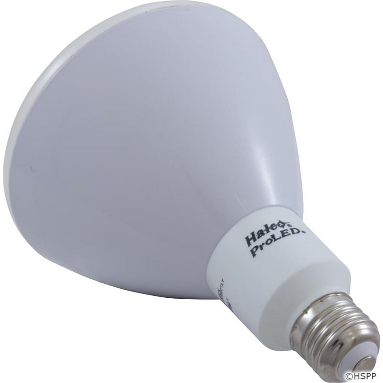 Halogen R40 Light Bulbs | Shelly Lighting