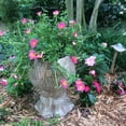 Homestyles Stone Wash Grumpy & Granny Joy the Muggly Face Humorous ...